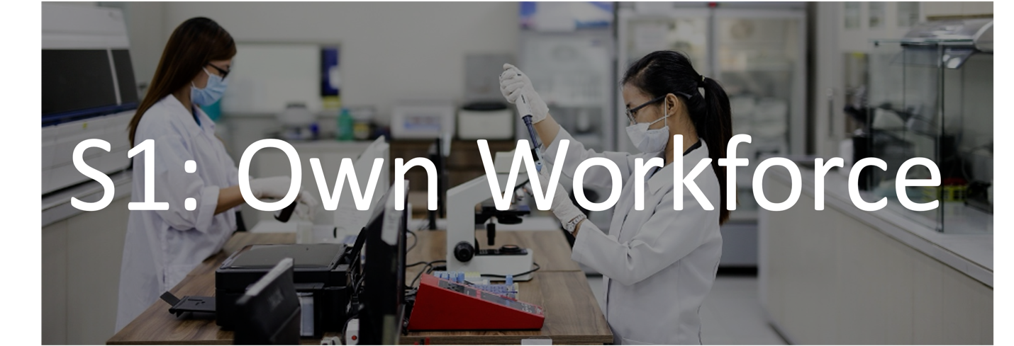 【解説第三回】ESRS（欧州サステナビリティ報告基準）の概要：社会とガバナンス | 株式会社aiESG