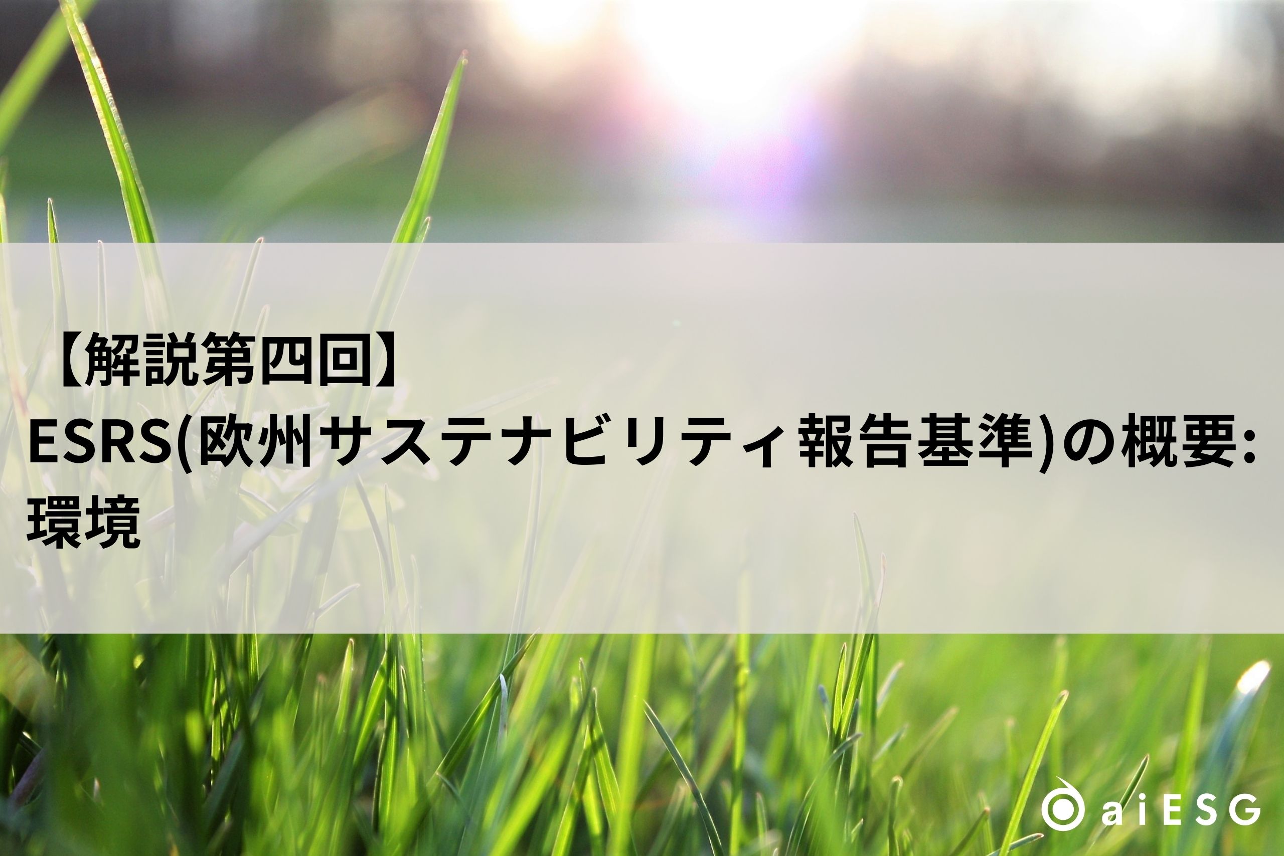 [解説第四回] ESRS(欧州サステナビリティ報告基準)の概要：環境 | 株式会社aiESG