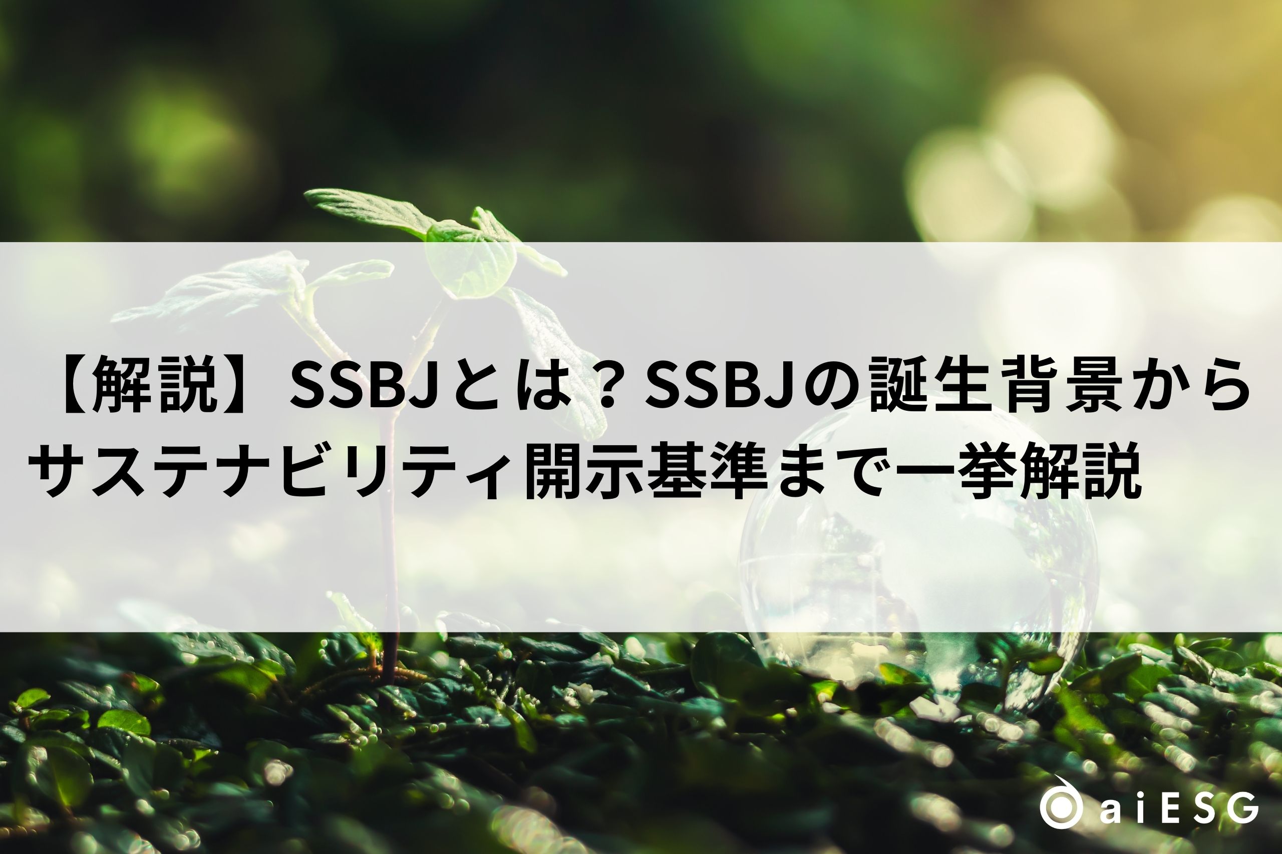 【解説】SSBJとは？SSBJの誕生背景からサステナビリティ開示基準まで一挙解説 | 株式会社aiESG